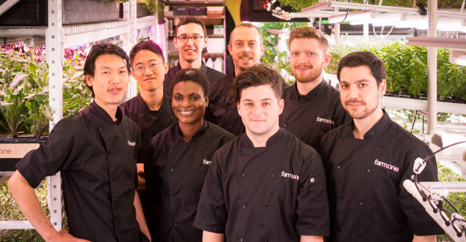 Farm.One: NYC Food Based Community Organization Spotlight - NYC Food ...