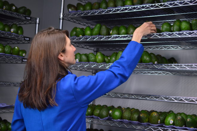 Apeel Sciences Gives Unwanted Plant Parts a Second Life, Doubling Shelf Life