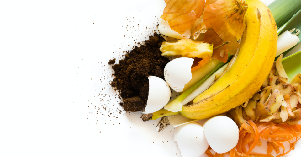 Food Waste Food By The Numbers NYC Food Policy CenterNYC Food Policy Food Waste Food By The Numbers NYC Food Policy CenterNYC Food Policy