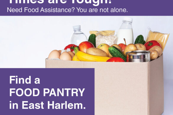 21 New York Organizations Working to Transform the Food System