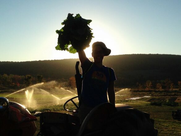 Community Spotlight: Rock Steady Farm