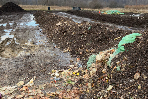 10 Facts About NYC Composting - NYC Food Policy Center