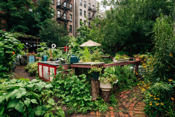 New York's $10 Million Initiative to Combat Food Deserts and Promote ...