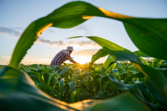 Sharing Excess Makes it Easy to Donate Surplus Food - NYC Food Policy ...
