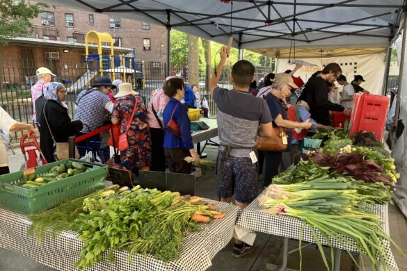 Ultra-Processed Foods and All-Cause Mortality: Understanding the Nova ...