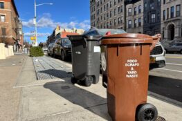 Community Spotlight: Sharing Excess - NYC Food Policy Center (Hunter ...